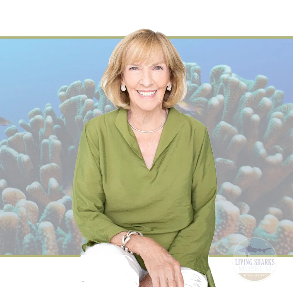 In the Fighting Chair Interview Series — Living Sharks Museum