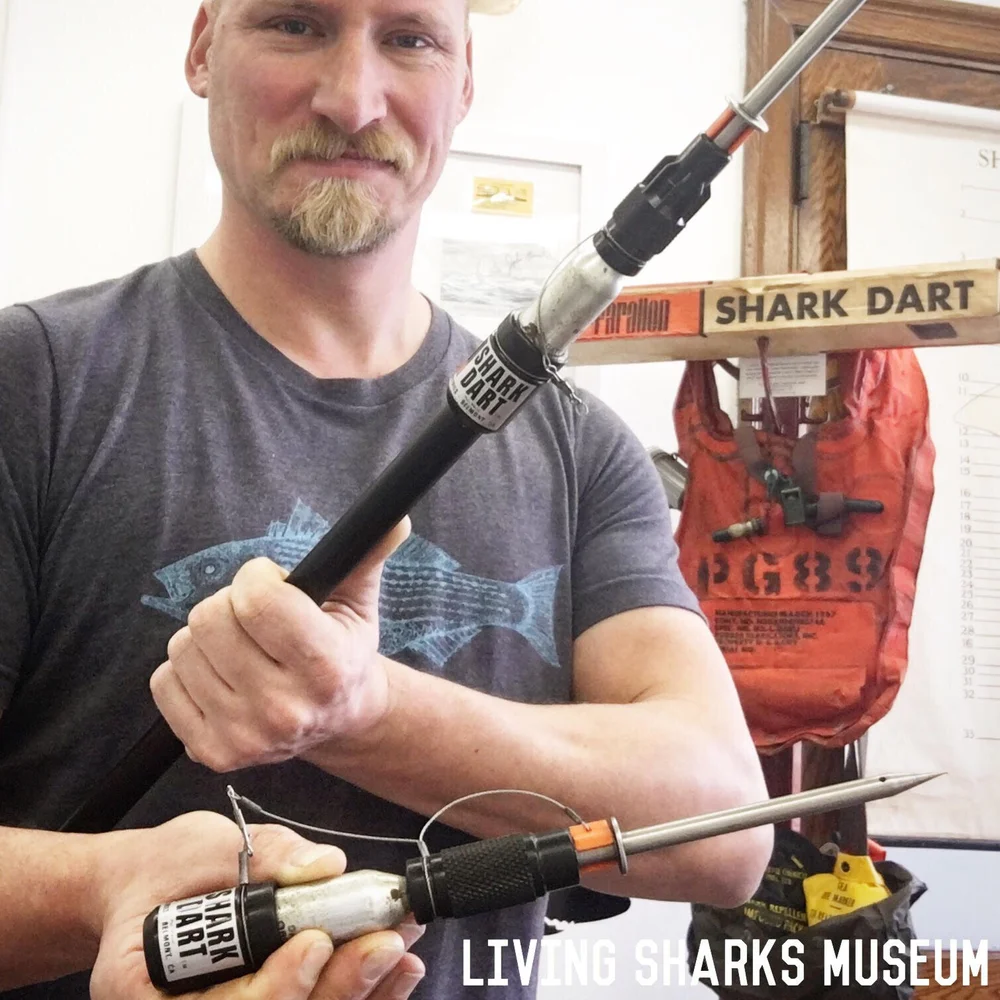 Surviving the Shark — Living Sharks Museum
