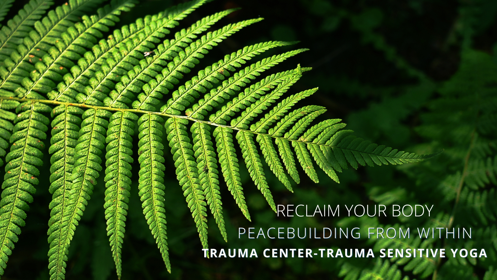 Online Trauma Center-Trauma Sensitive Yoga Foundational Training (Copy ...
