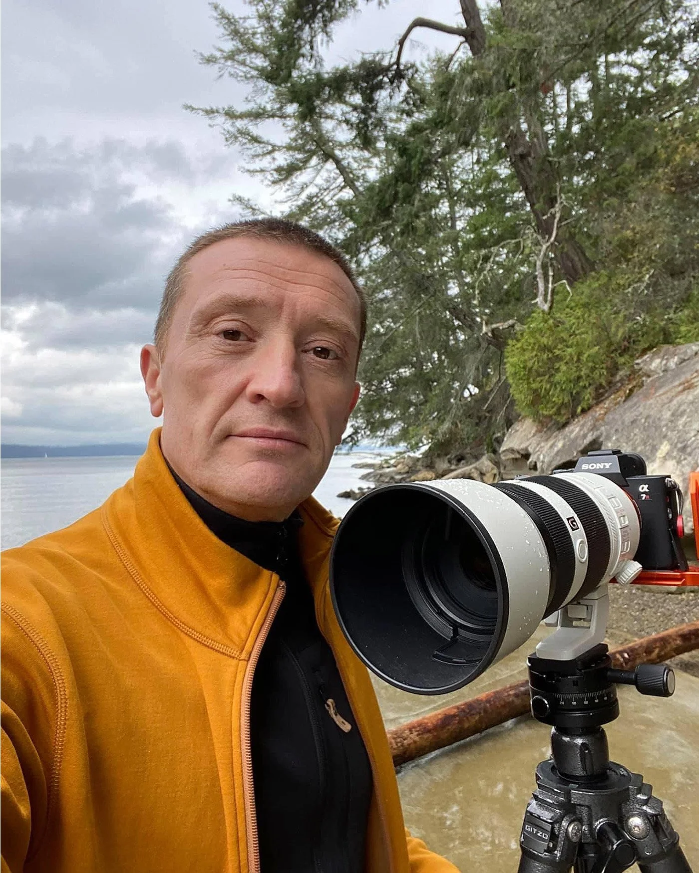 Carmanah Valley — Quiet Light