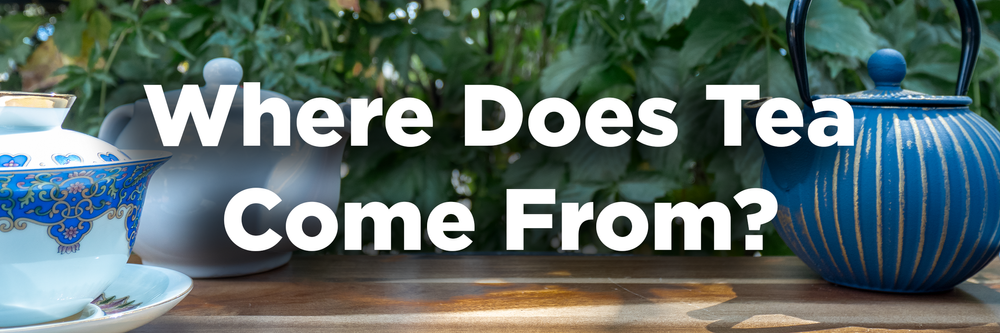 Where Does Tea Come From? - The Culture of Tea - Part 2 — Boulder ...