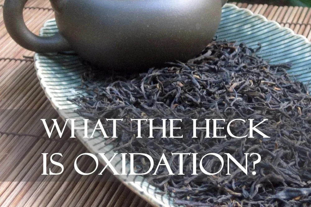 What the Heck is Oxidation in Tea? — Boulder Dushanbe Teahouse