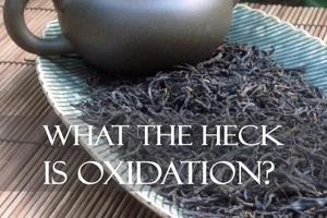 What the Heck is Oxidation in Tea? — Boulder Dushanbe Teahouse