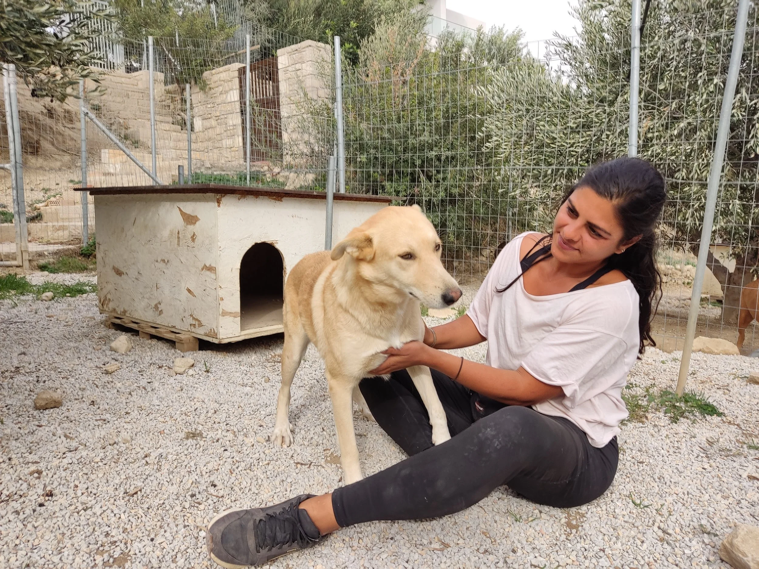 Our Team — Takis Shelter