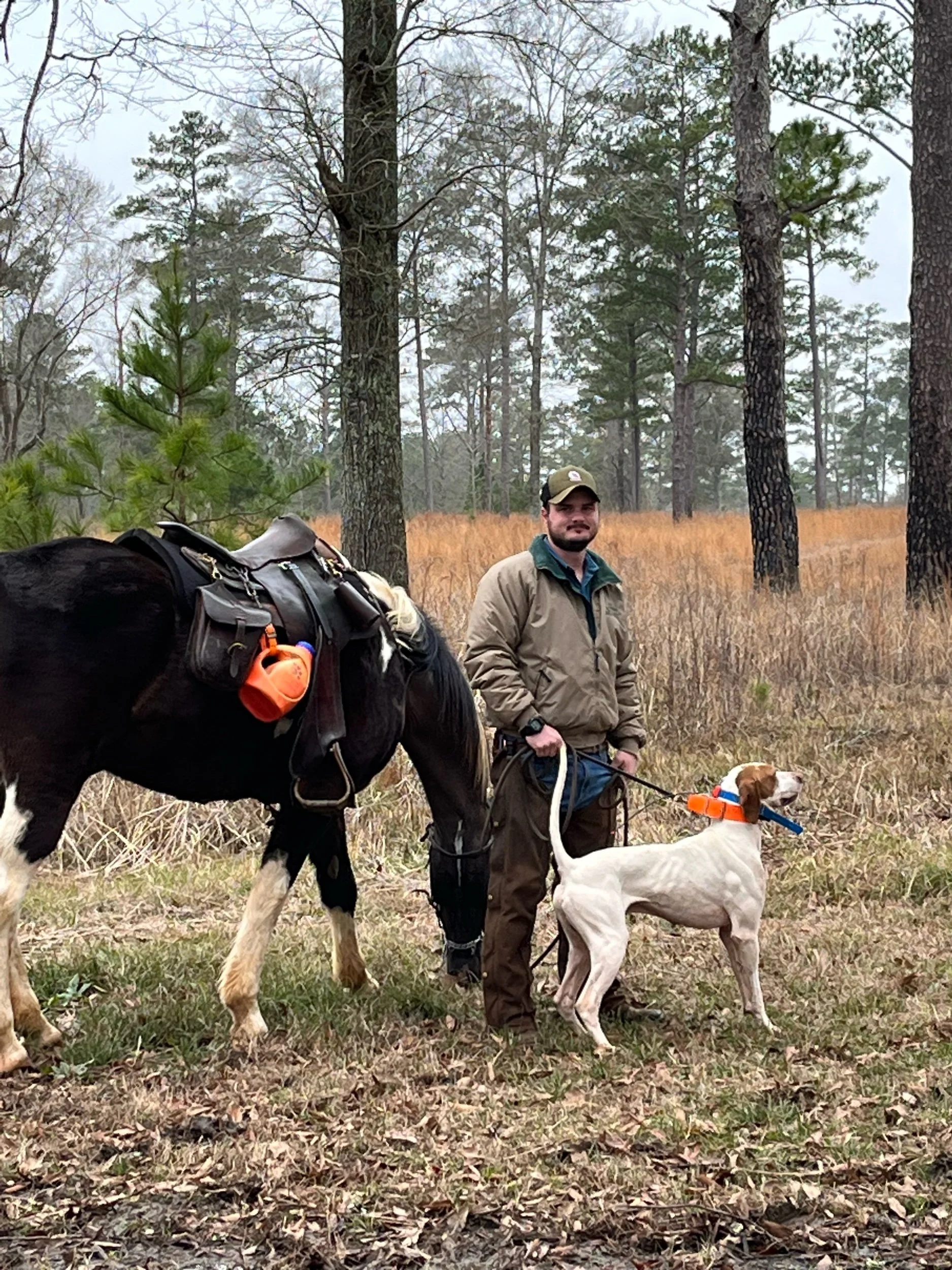 National Open Shooting Dog Championship