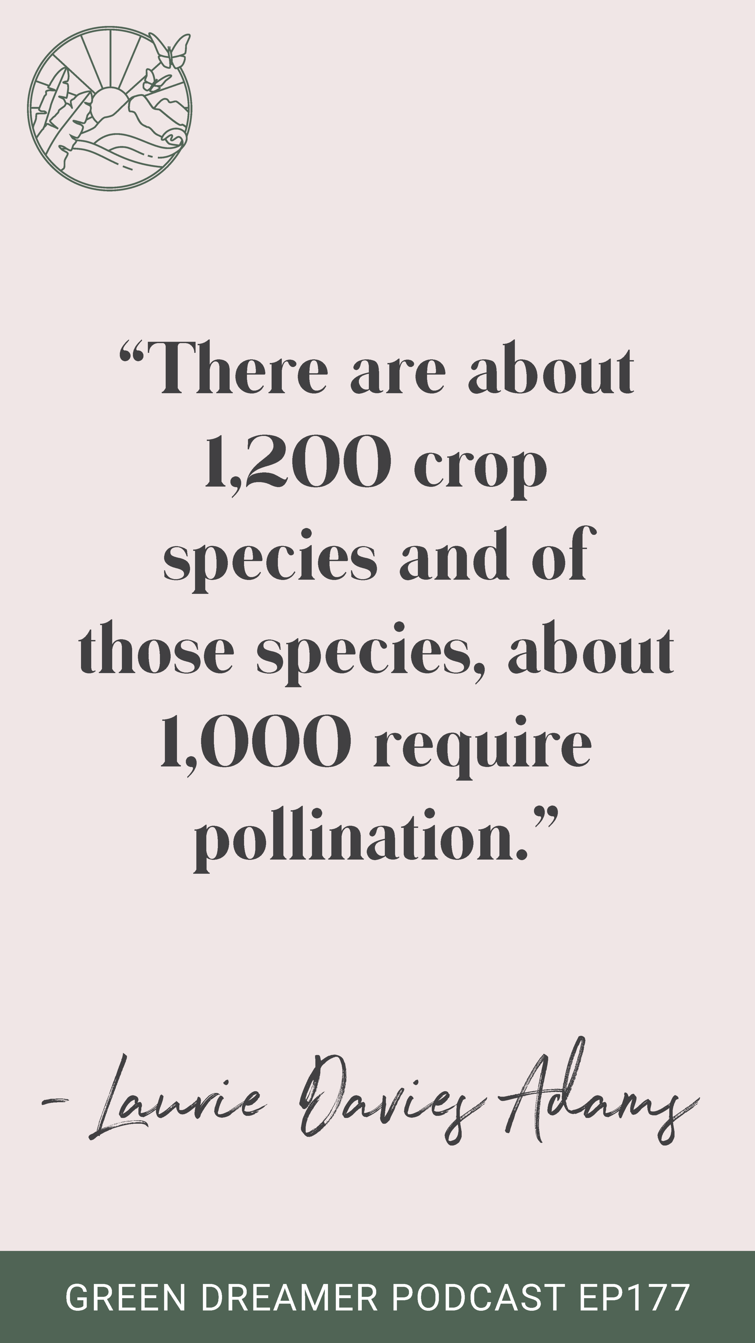 How pollinator conservation can unite all for a greener, healthier ...