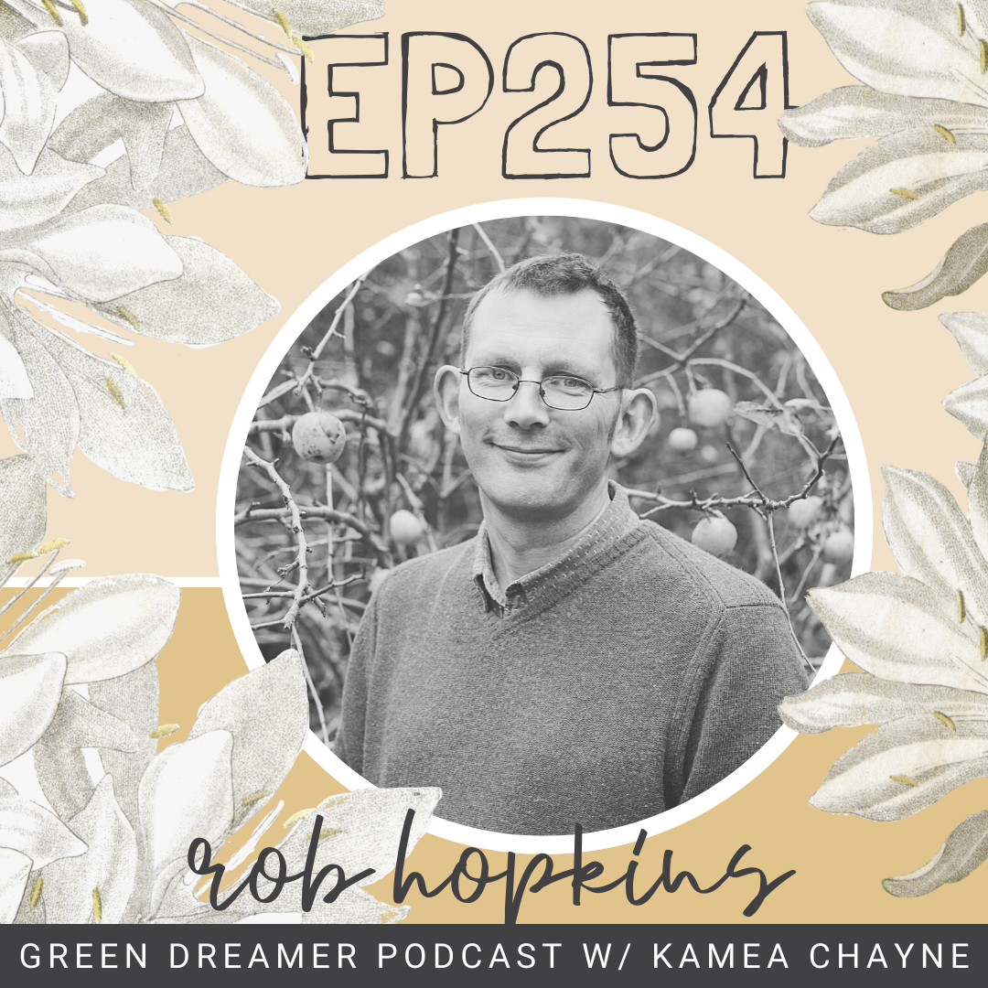 From What Is to What If — interview with Transition Network's Rob ...