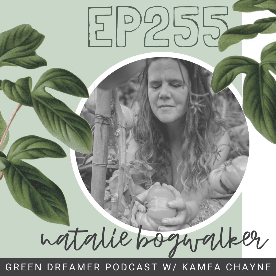 Wild Abundance's Natalie Bogwalker says self-sufficiency is an act of ...