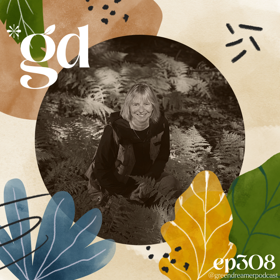 Suzanne Simard: Forest intelligence and tree networks — GREEN DREAMER