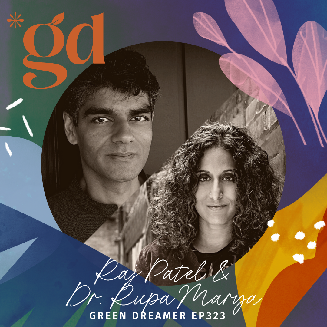 Rupa Marya and Raj Patel: Inflamed, Deep Medicine and the Anatomy of ...