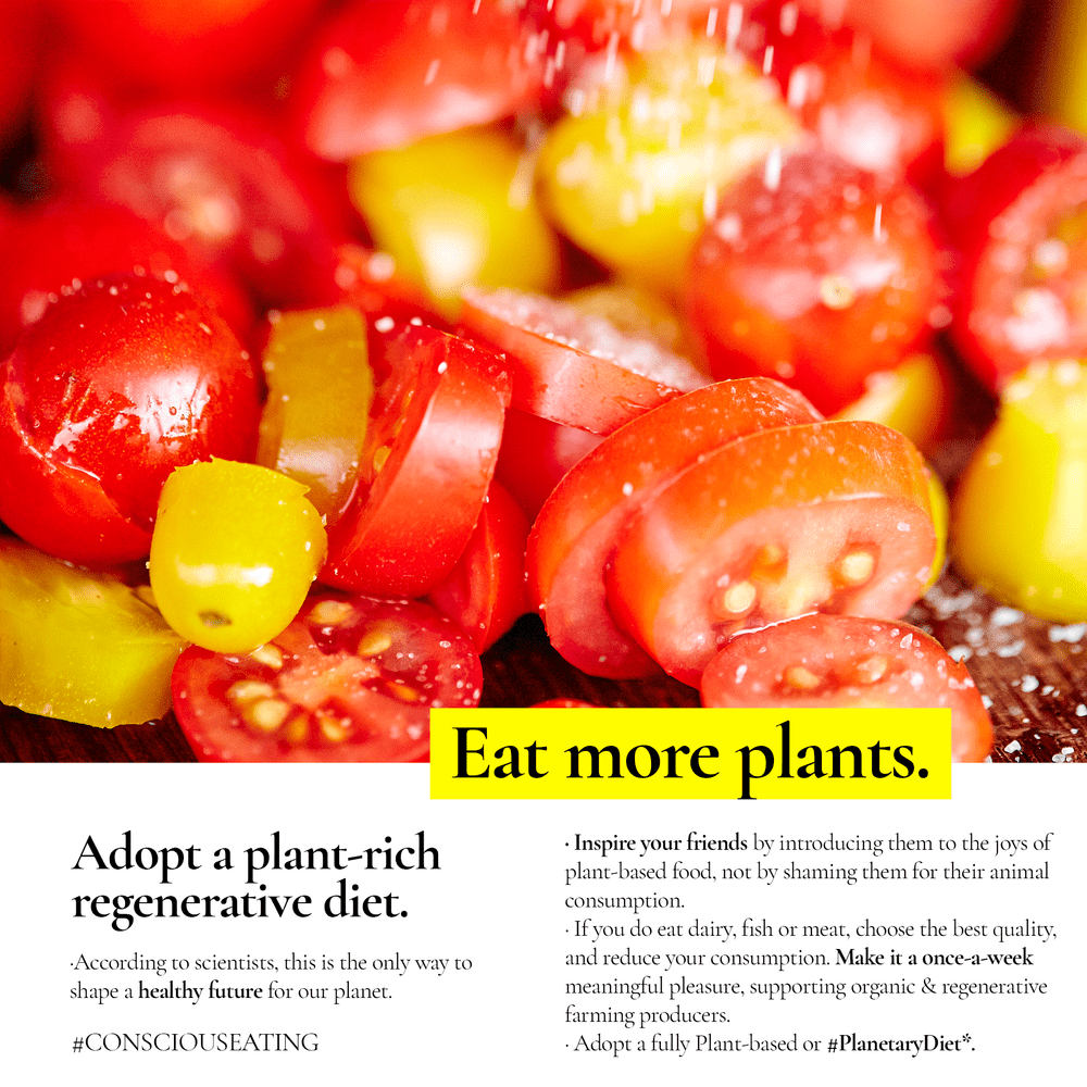 A Guide to Conscious Eating — Charles Michel