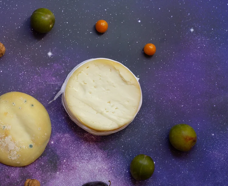 When Flowers Make Cheese! Thistle Rennet making it ooze. — It's Not You ...