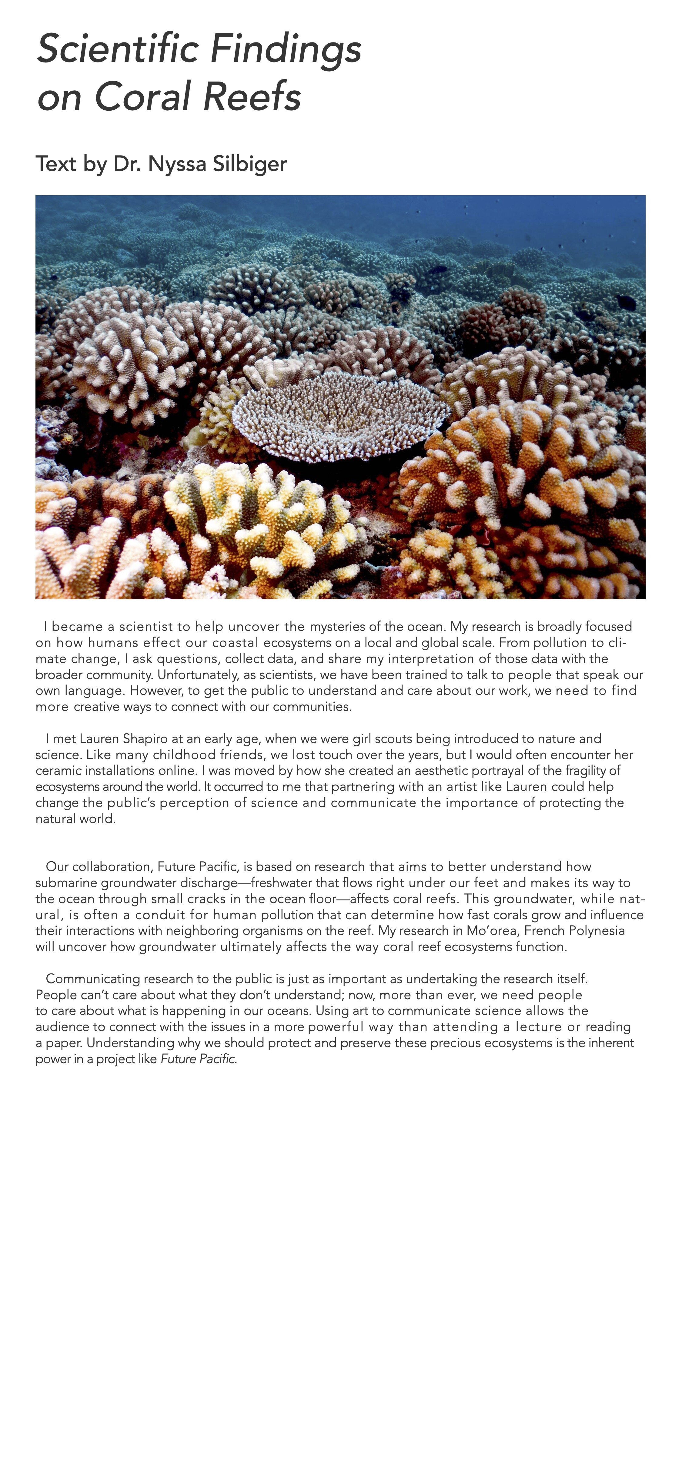 Lauren Shapiro: Masterful, Nature-Inspired Sculptures & Installations ...