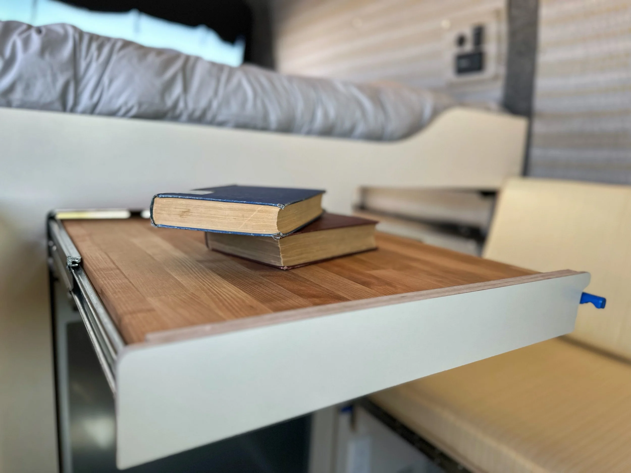 Custom Promaster Campervan - Contravans