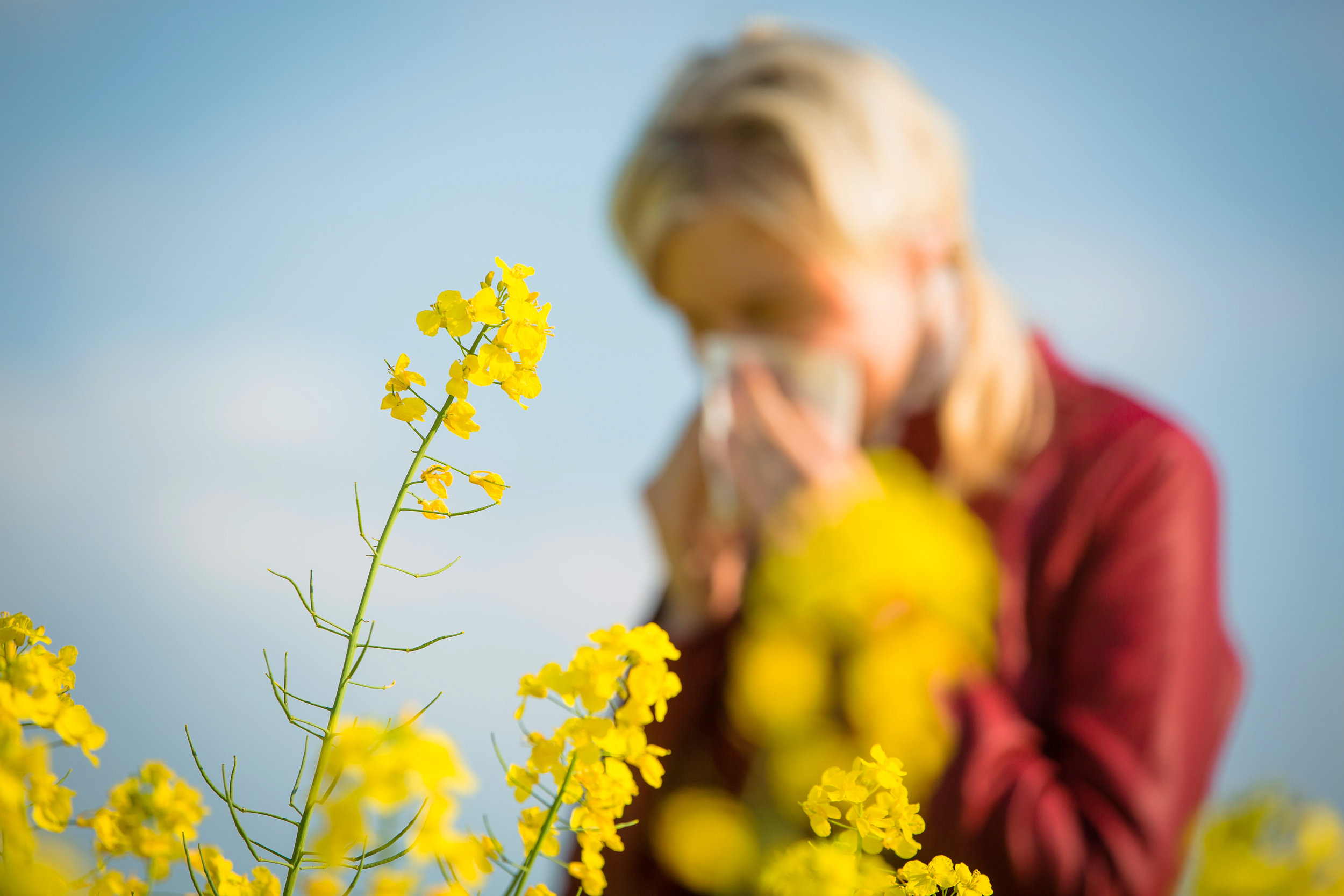 Allergy Treatment — BREATHEmd | Optimal Airway Health