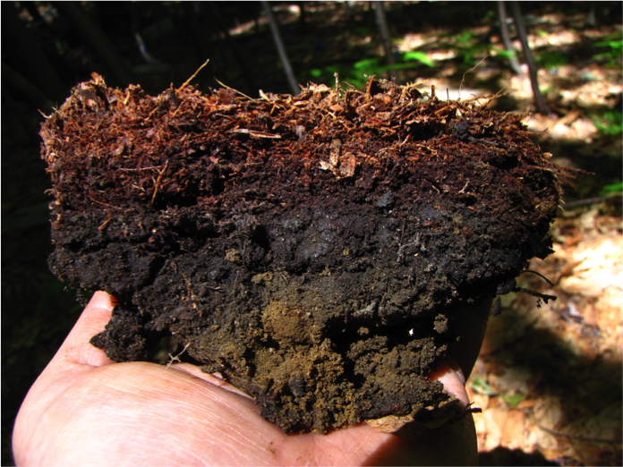 Research — The Ignace Lab