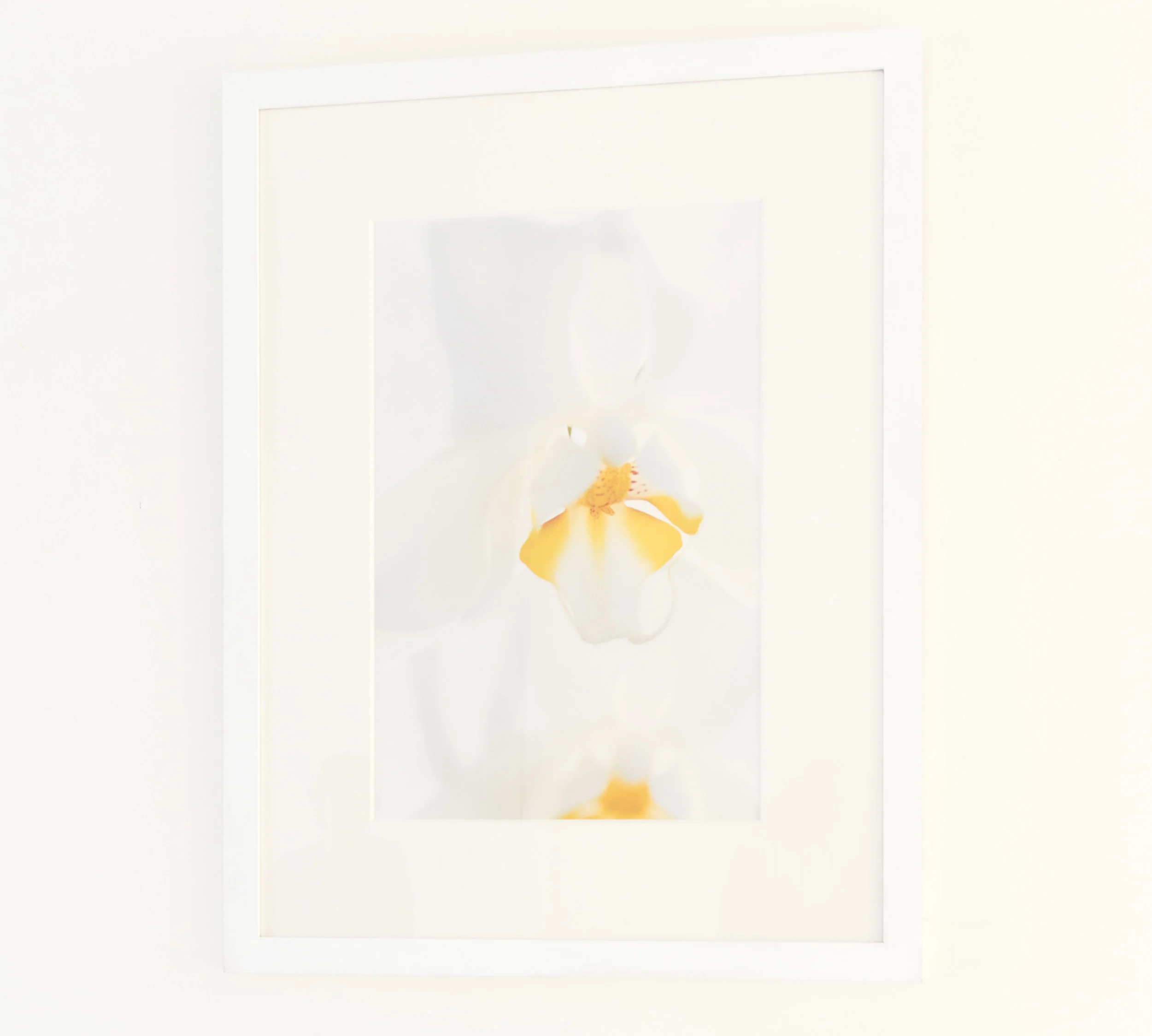 Simplicity, Purity, Light and Nature | Donna Lloyd | Abstract Art for ...