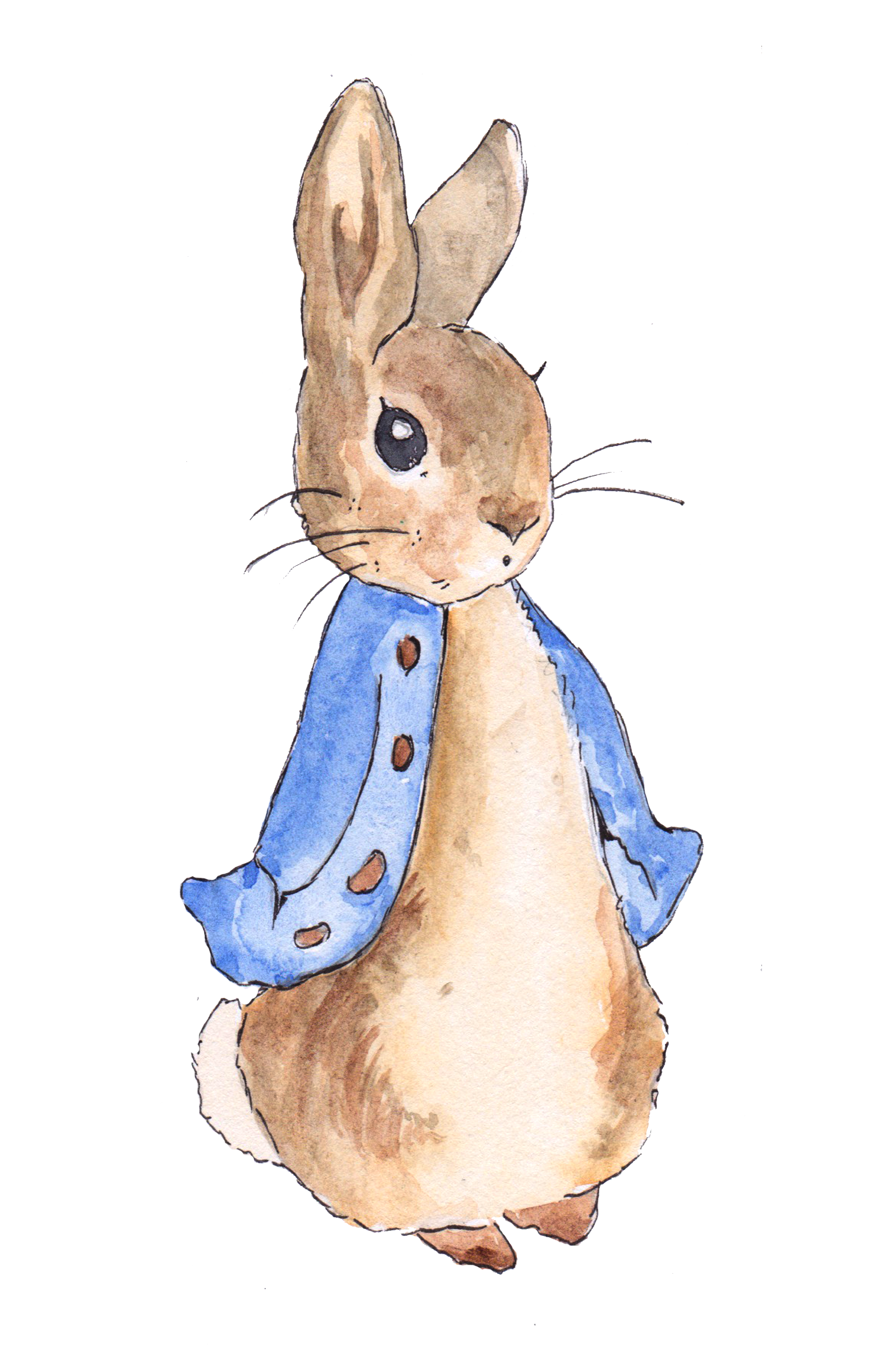 Peter Rabbit