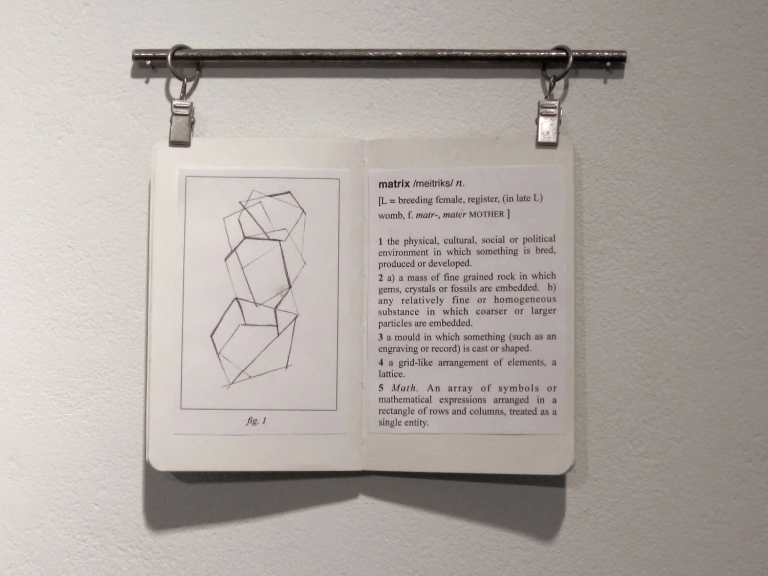 Matrix — Melissa Pierce Murray