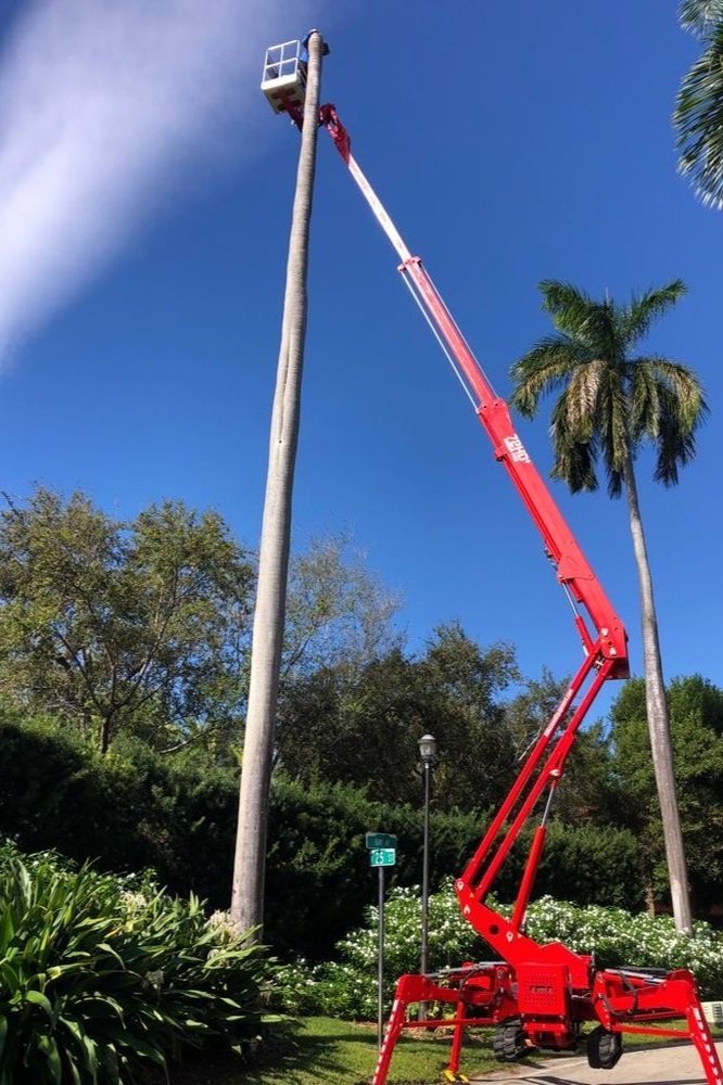 Miami Tree Service