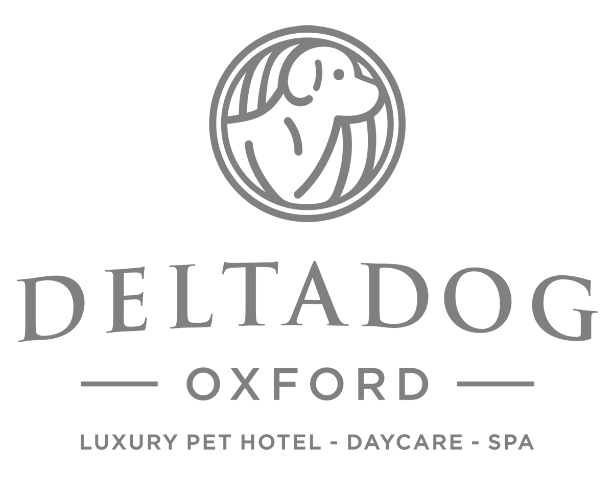 DELTADOG- Oxford, MS
