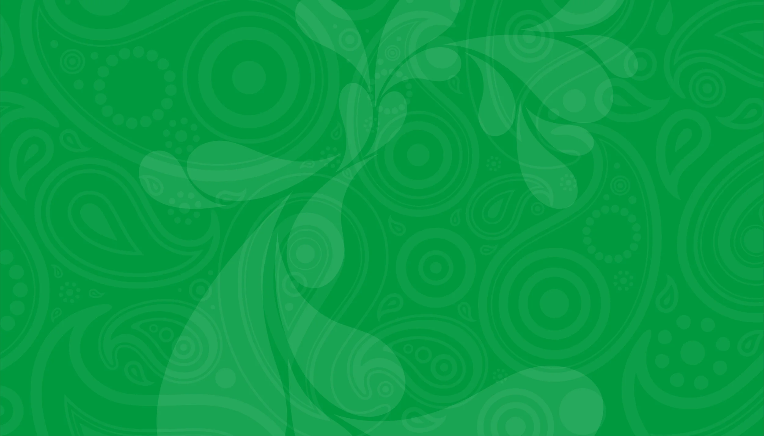 Shop — Paisley Drinks Co.