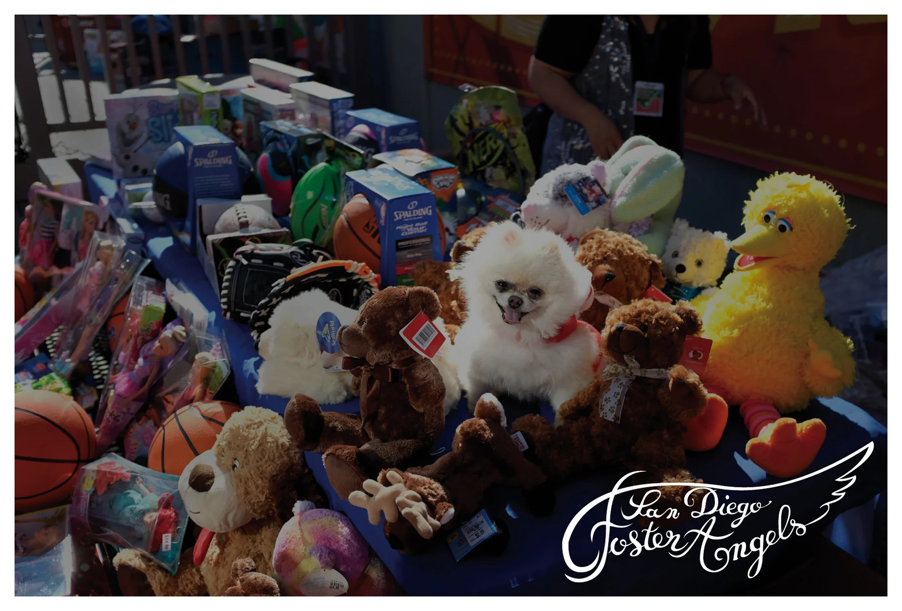 San Diego Foster Angels