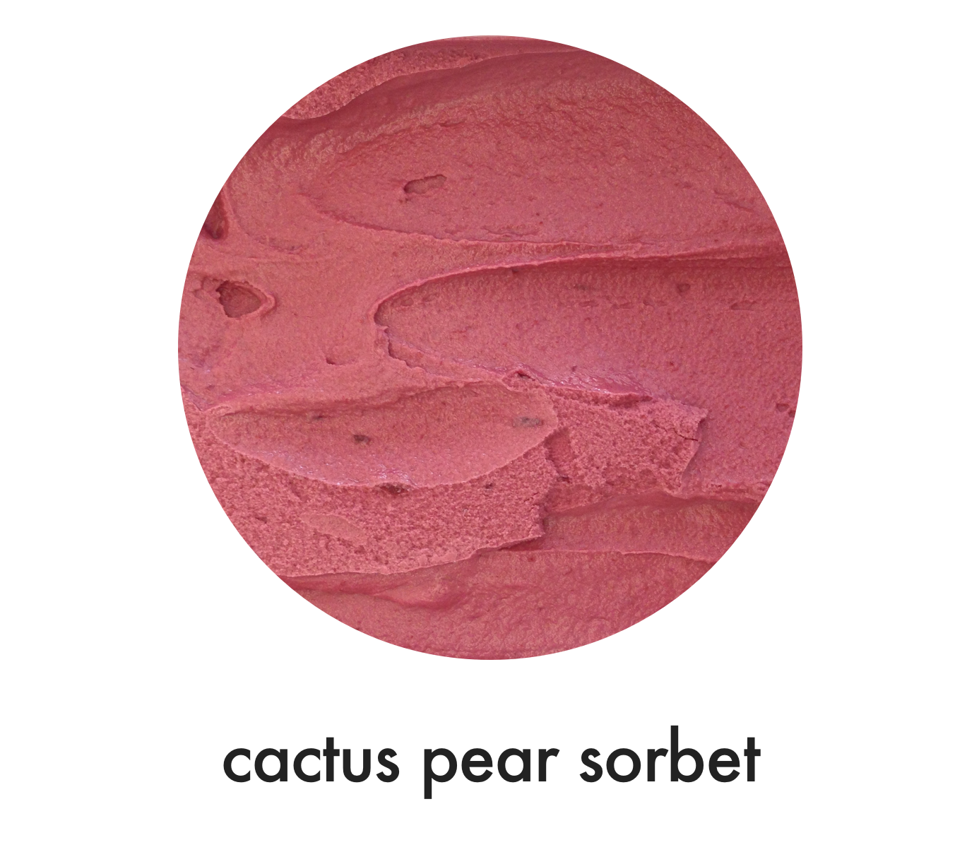 sorbet flavors — il laboratorio del gelato
