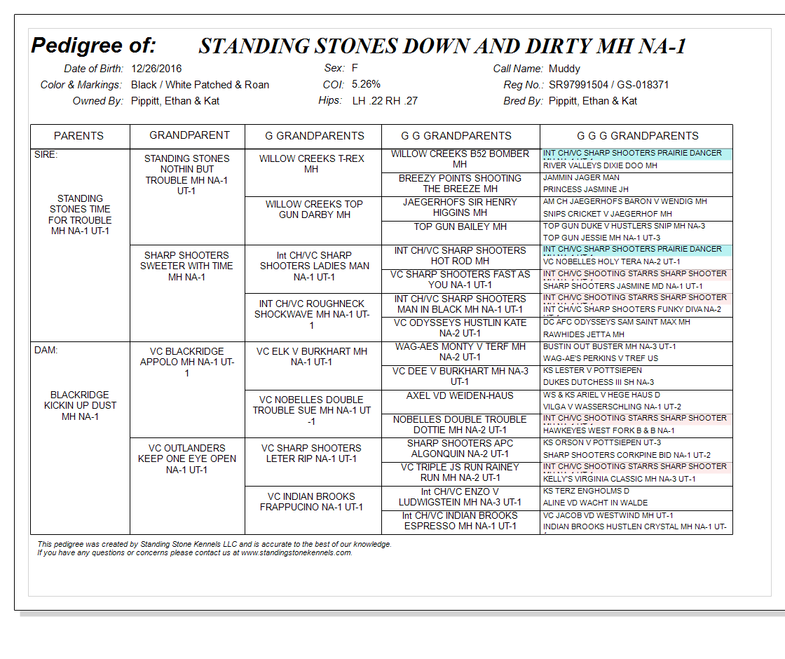 “MUDDY” - STANDING STONES DOWN AND DIRTY MH — Standing Stone Kennels