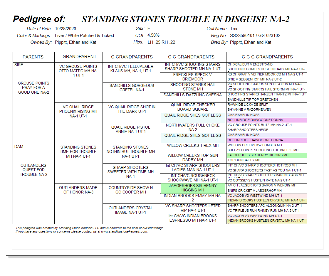 “TRIX” - STANDING STONES TROUBLE IN DISGUISE — Standing Stone Kennels
