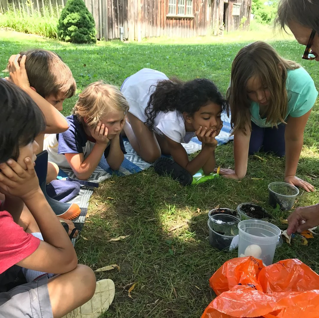 Our Farm — The Learning Farm