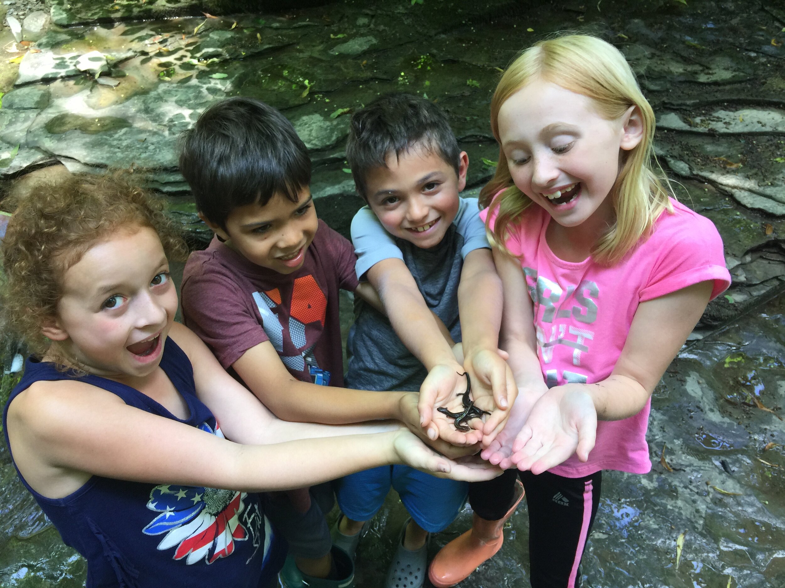 Our Farm — The Learning Farm