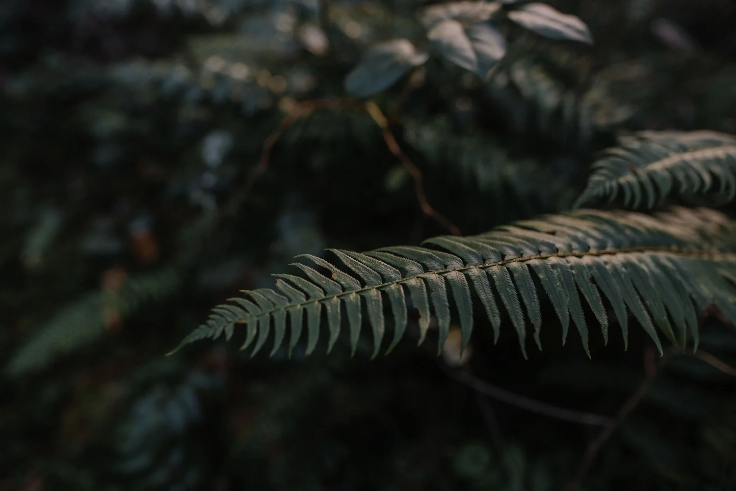 Foothills Camp — Sunset Lake Summer Camp & Retreat Center