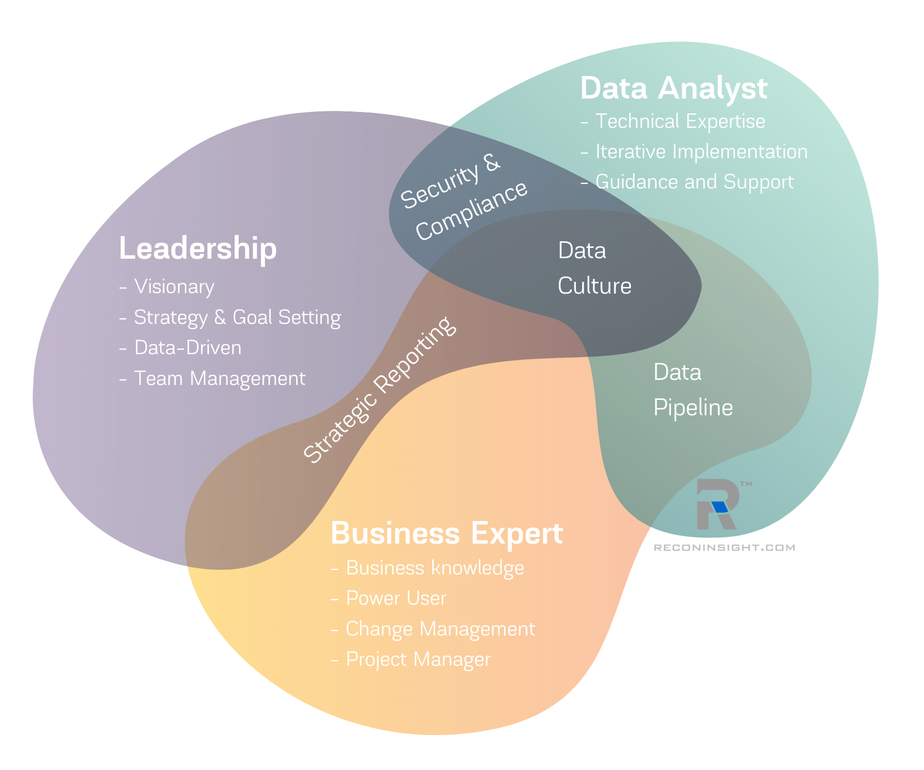 How To Structure A Powerful Data Team At Smaller Businesses ReconInsight How To Structure A Powerful Data Team At Smaller Businesses ReconInsight