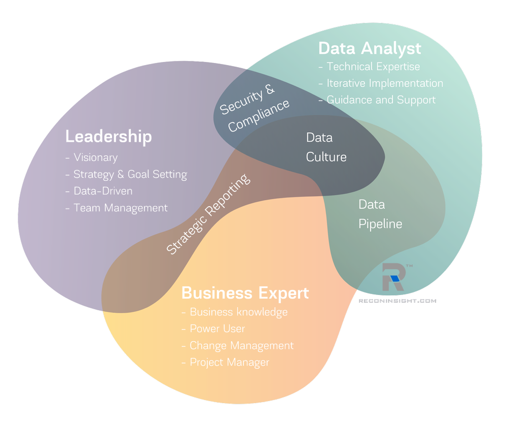 How to structure a powerful data team at smaller businesses — ReconInsight