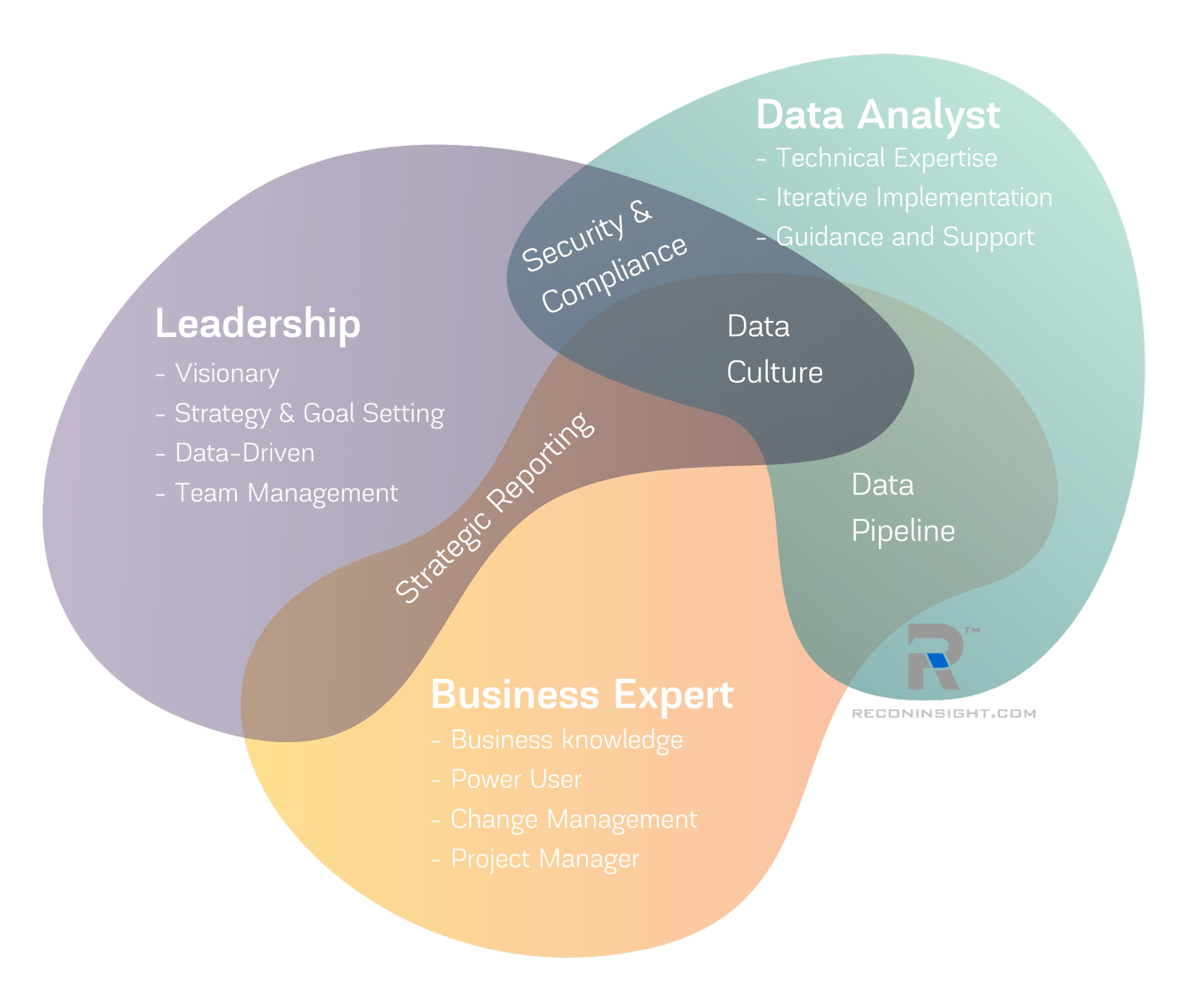 How to structure a powerful data team at smaller businesses — ReconInsight