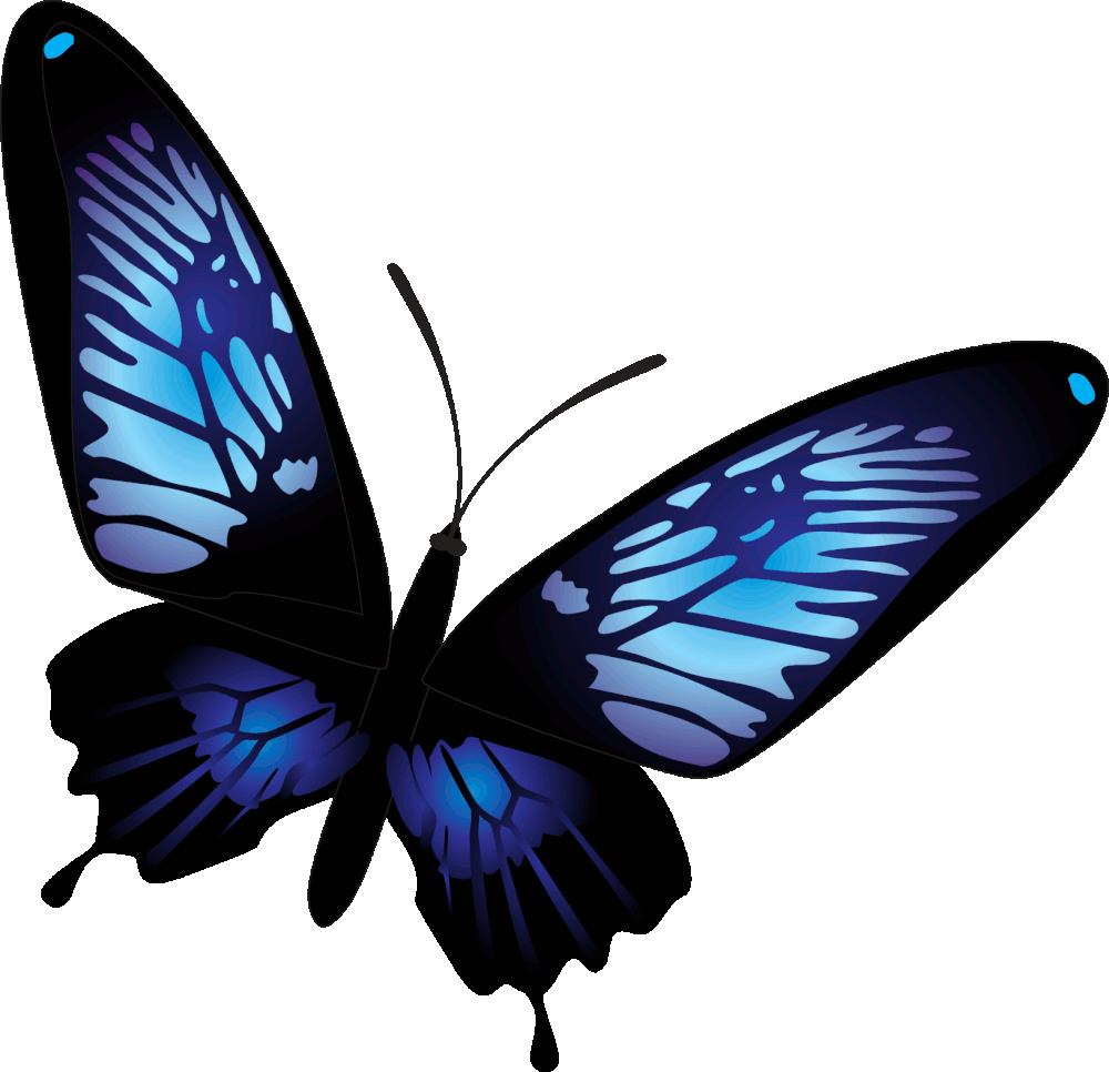 BSBTEC302 Design and produce spreadsheets (Excel) — Software Publications