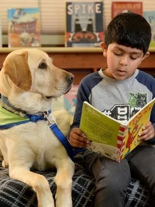 How Dogs Can Help Struggling Readers Thrive — National Education Summit