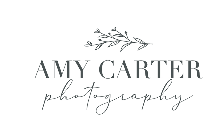 Heirloom Portraits — Amy Carter Photography | Raleigh Newborn Photography