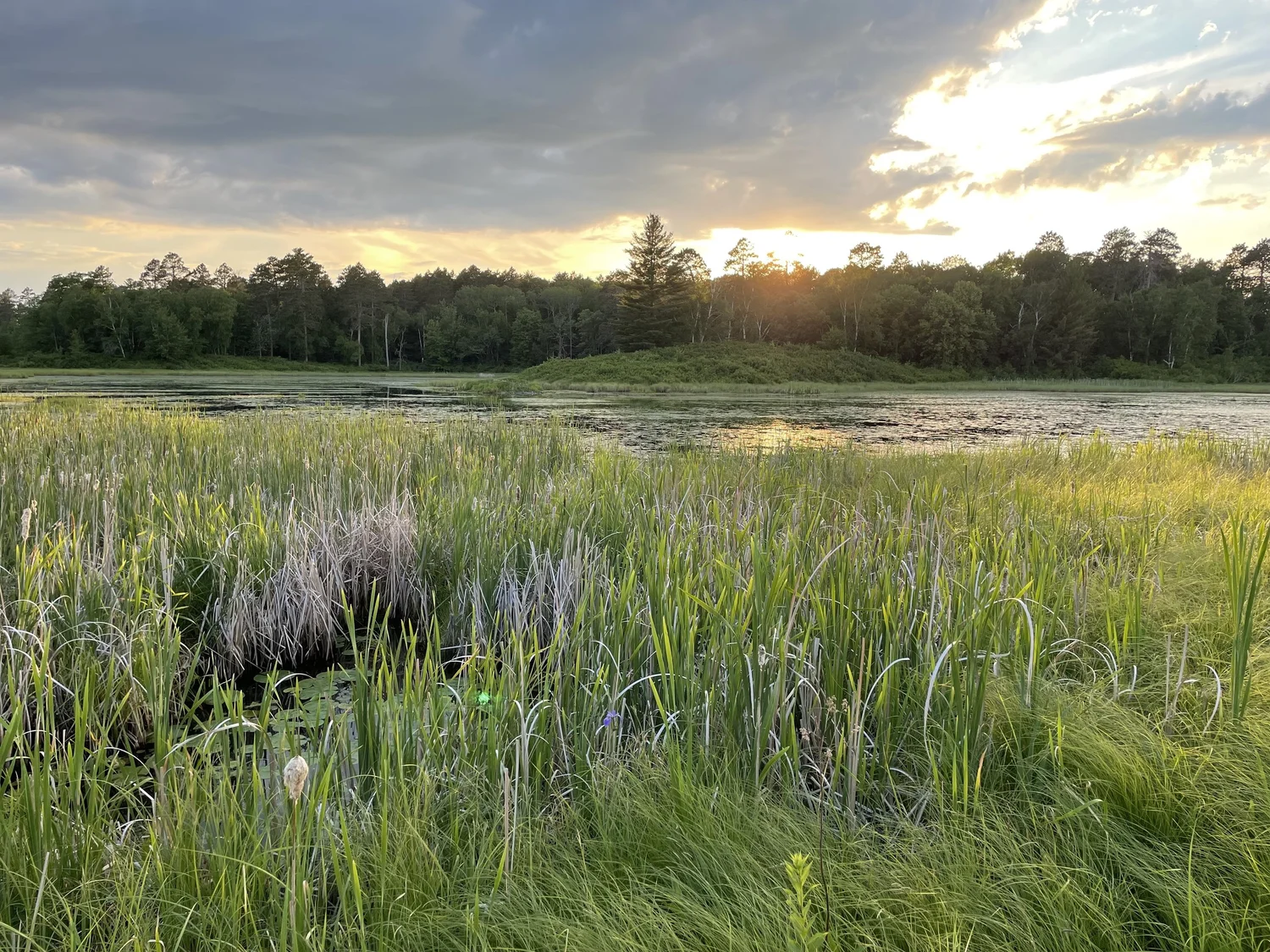 Support A Land Defender — Little Indian Girl