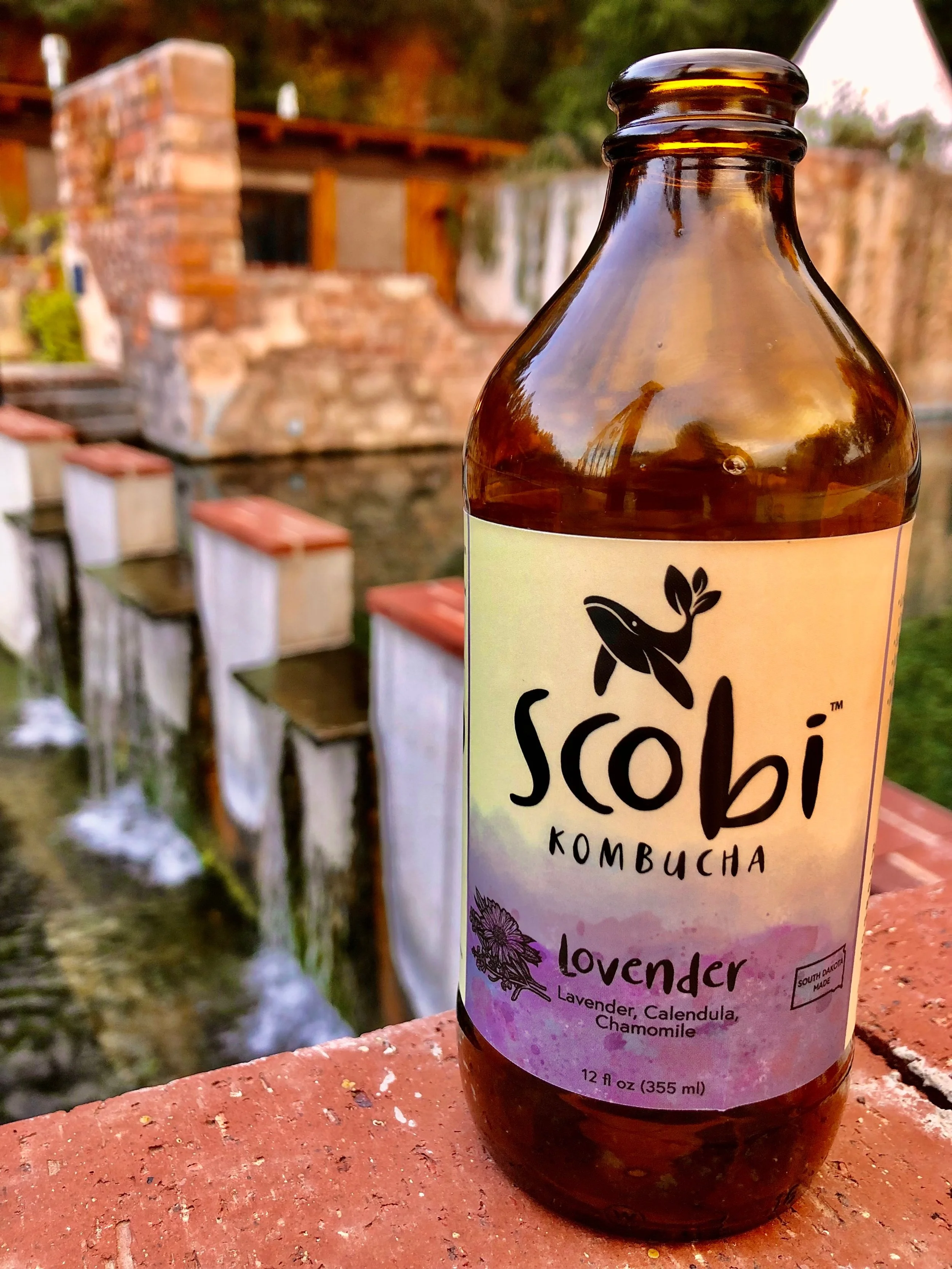 Scobi Kombucha