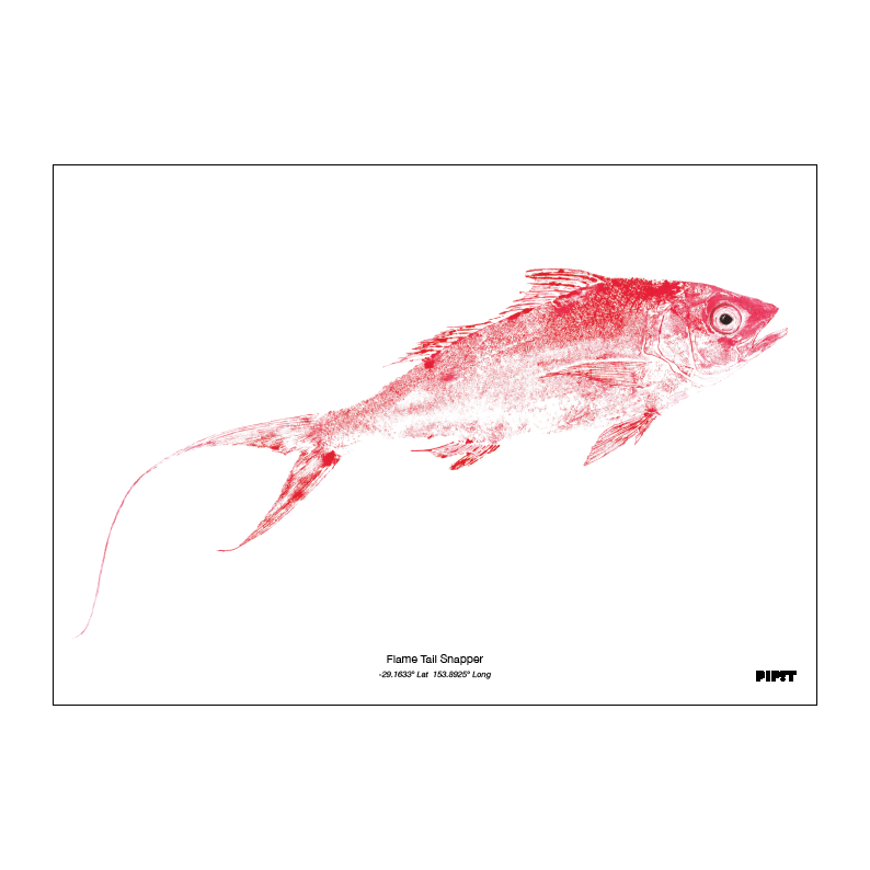 Pipit Store — Pipit Restaurant