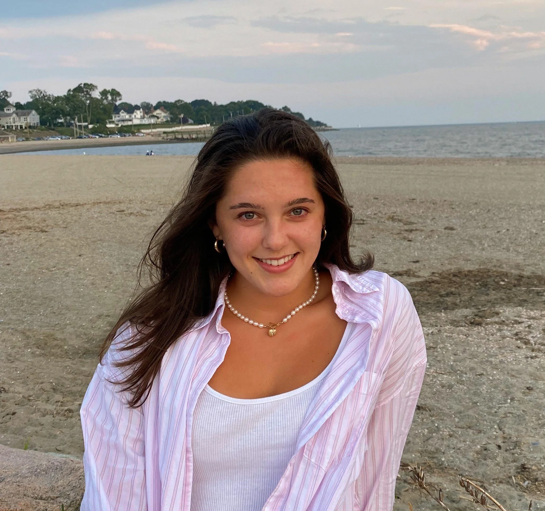 Lemmon Lab — Lemmon & Ferguson Laboratories