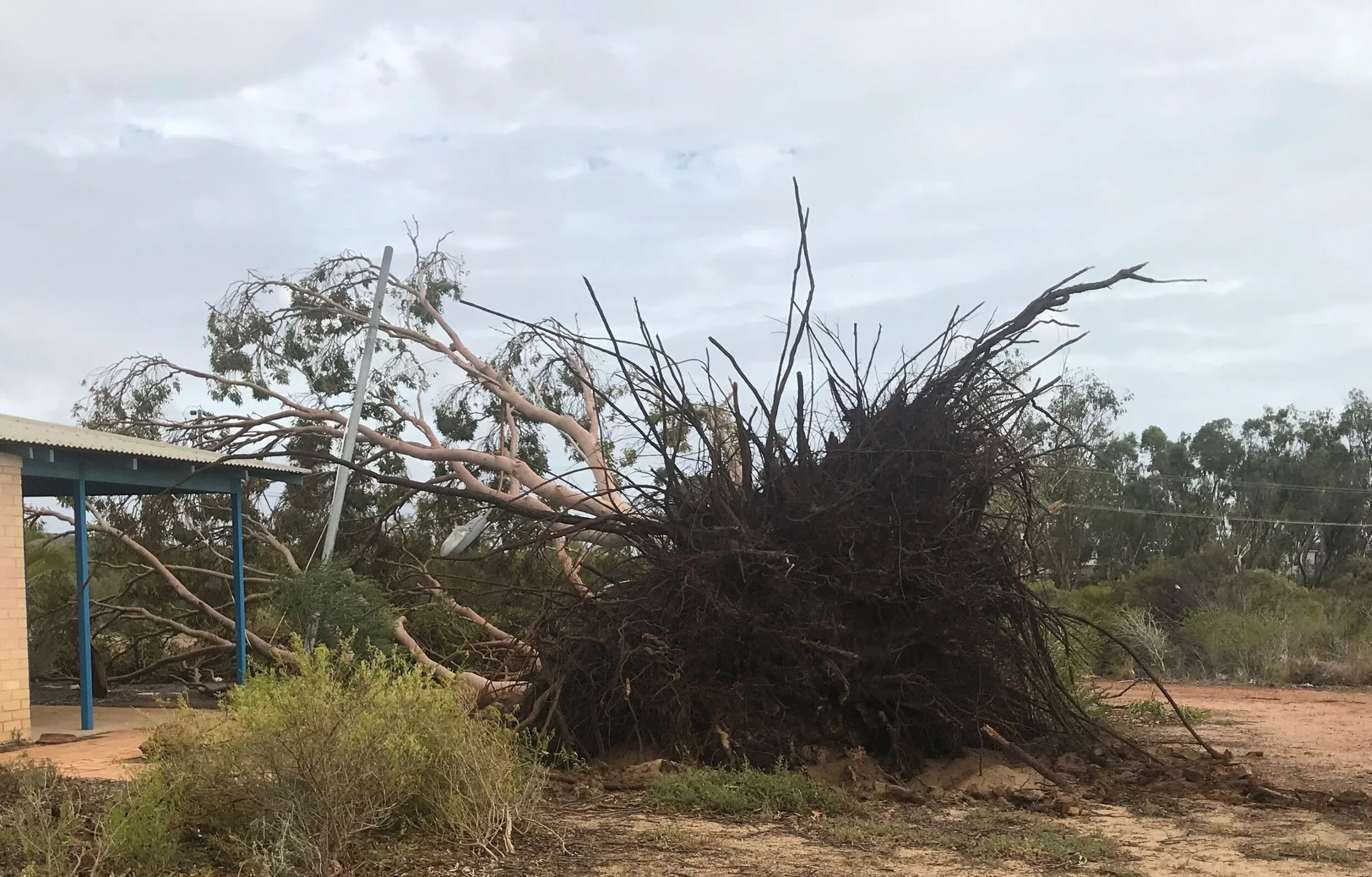 Cyclone Seroja Update — Anglican Diocese of North West Australia