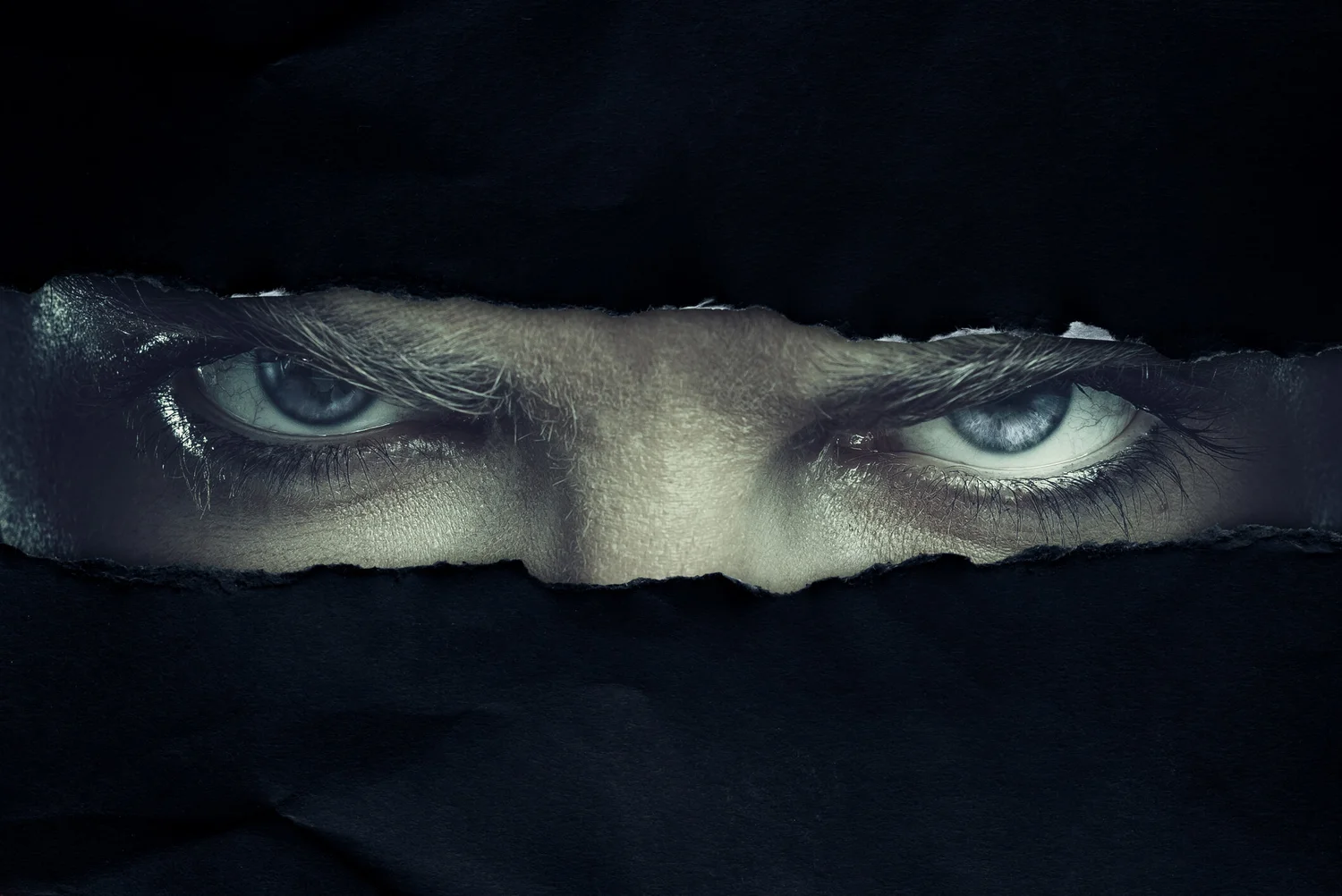 Mastering The Tempest and Hag-Seed Incursion — Into English