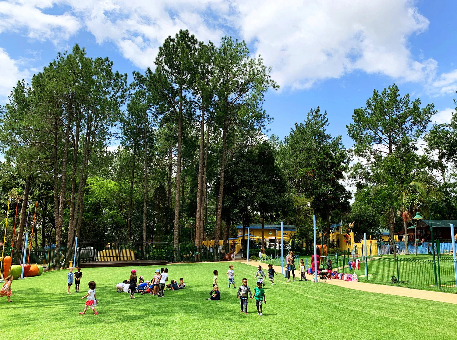 Pine Forest Pre-Primary School Bryanston Sandton Johannesburg pre ...