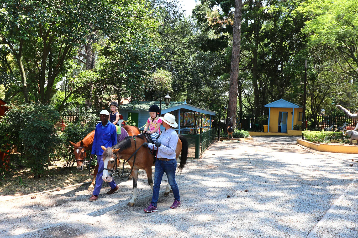 Pine Forest Pre-Primary School Bryanston Sandton Johannesburg pre ...
