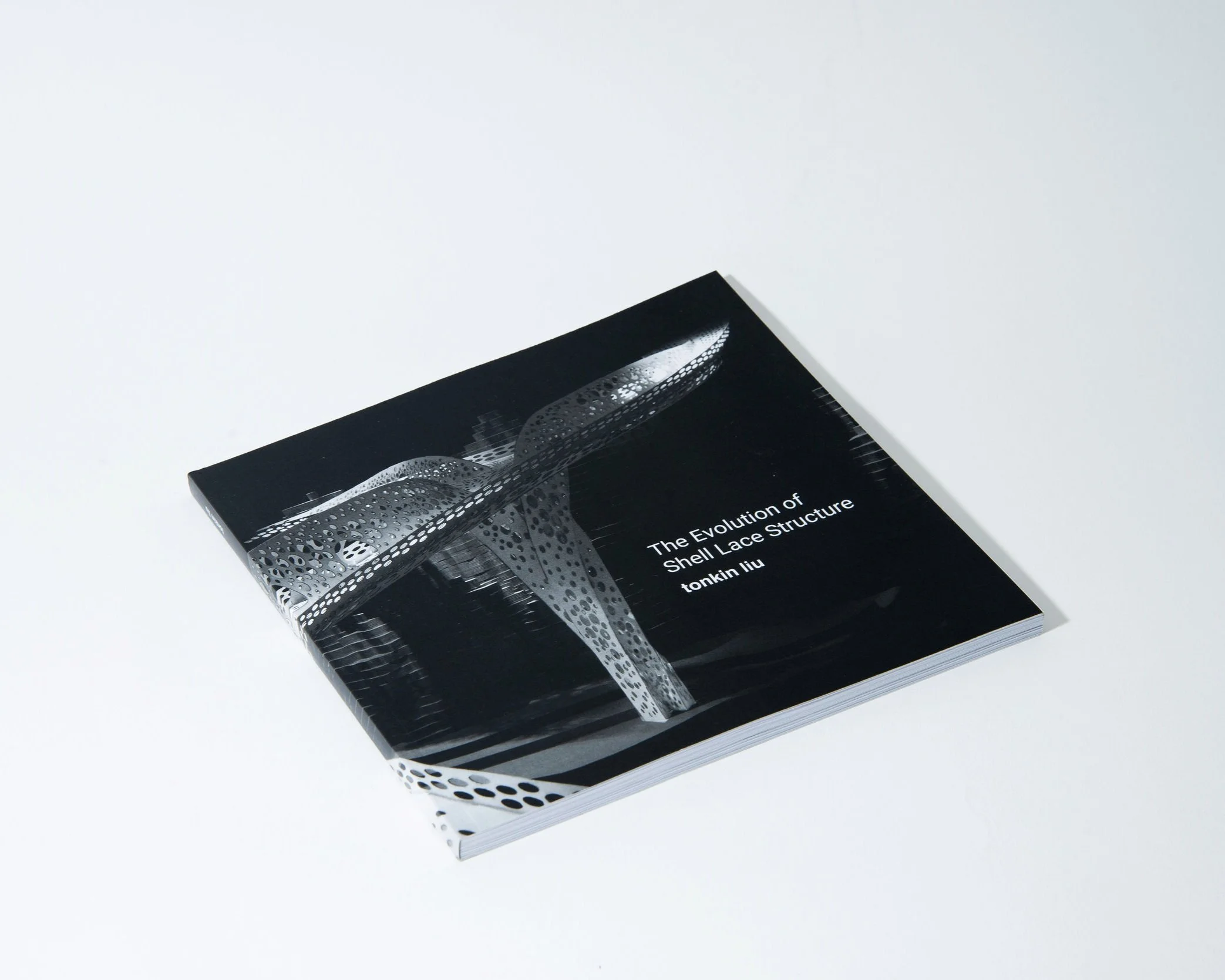 Shell Lace Structure — tonkin liu