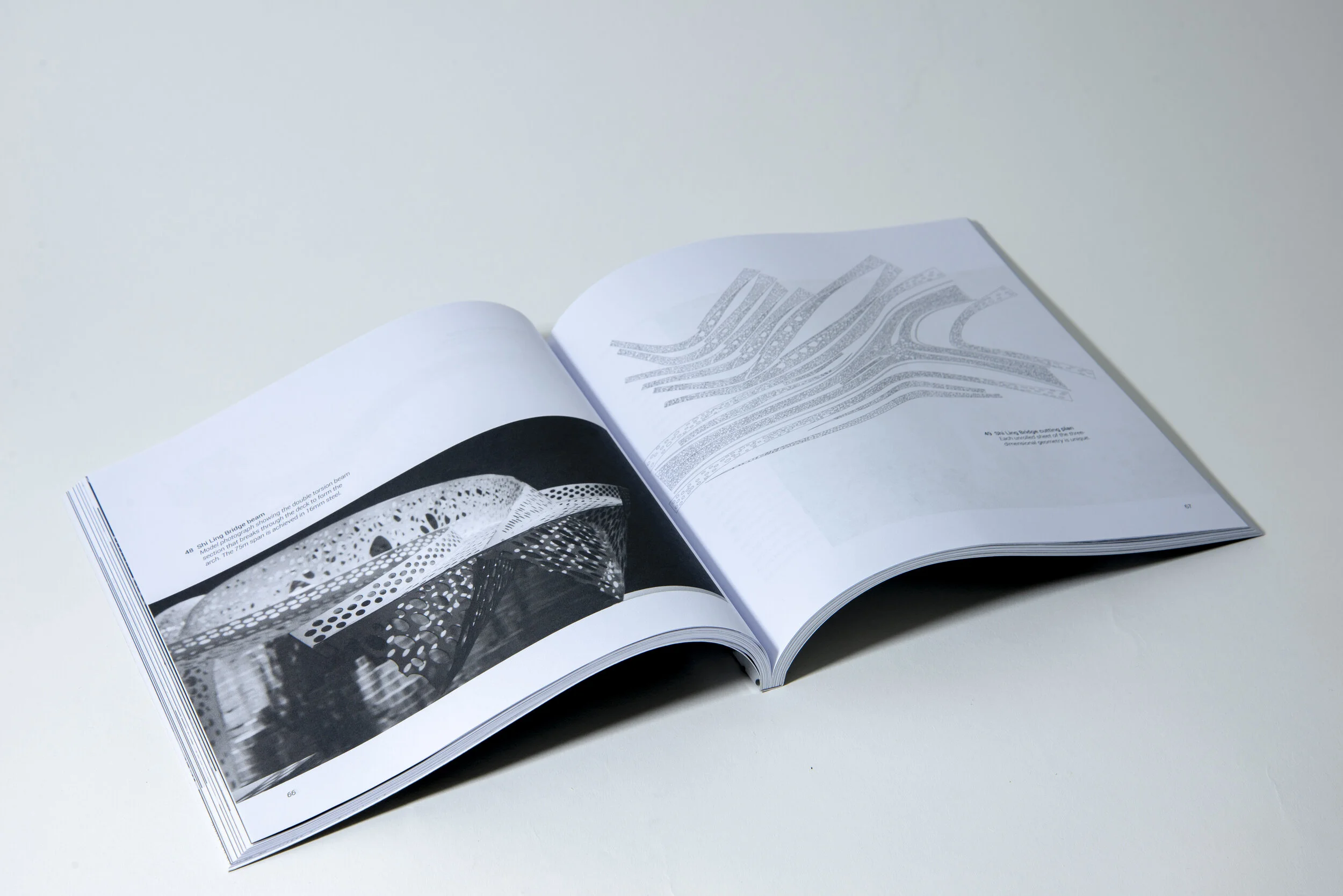 Shell Lace Structure — tonkin liu