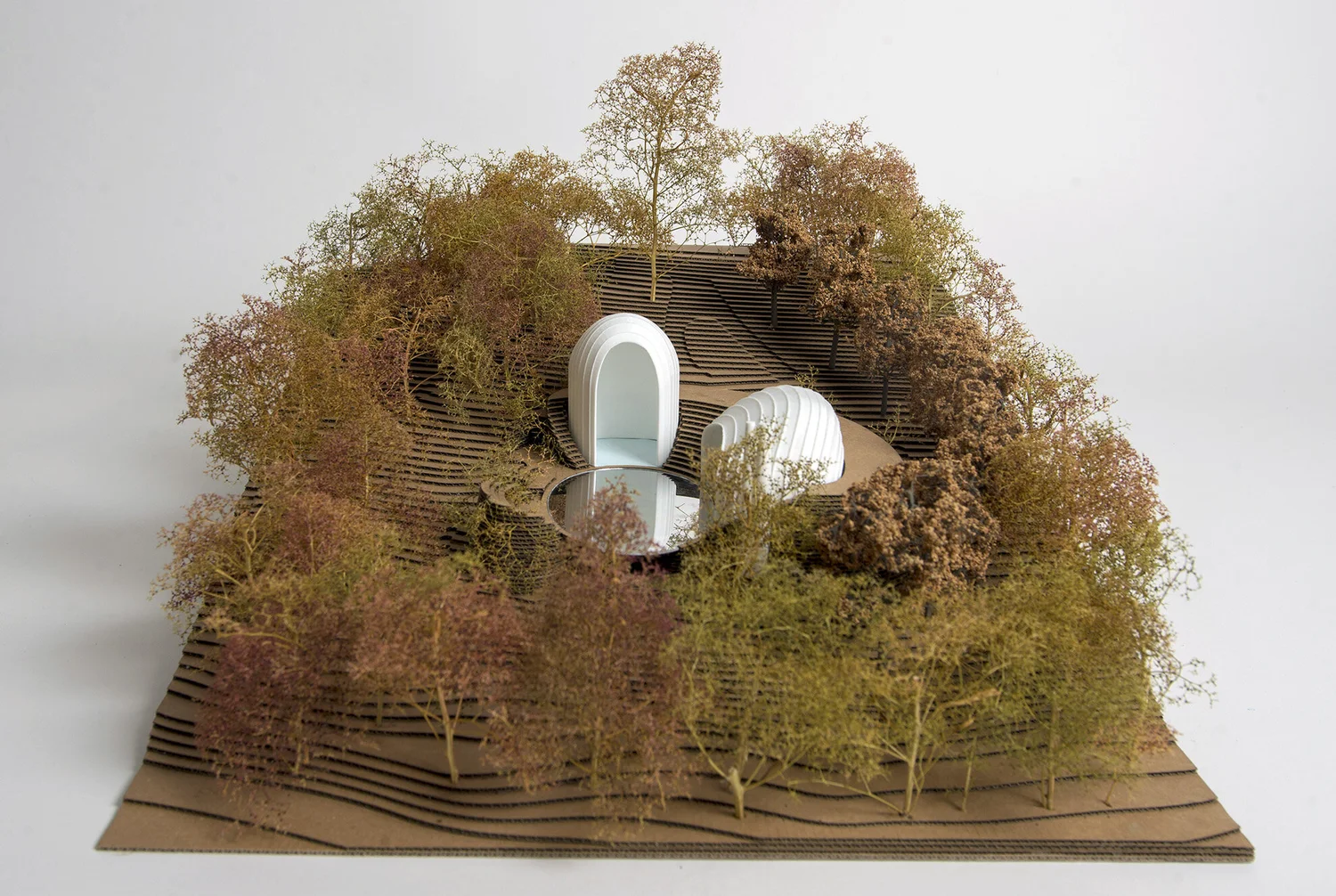 Rain Domes | Energy Efficient Low-Carbon Timber Building — tonkin liu